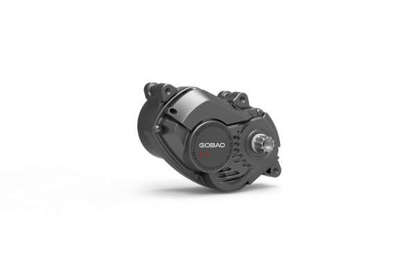 Gobao's customer-first mindset