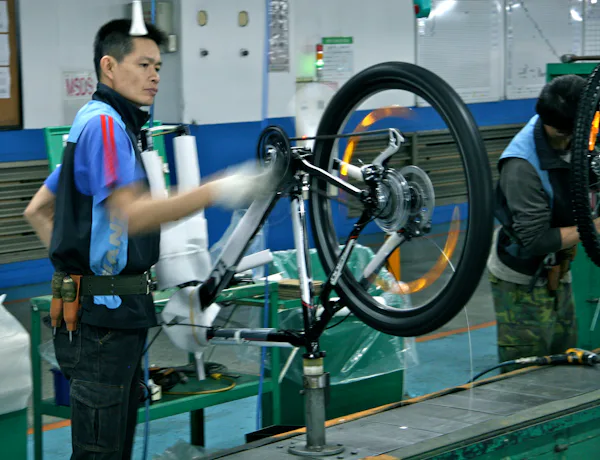 Sharp Contrast at Biggest in Bikes: Dorel and Giant 'Bleed', Accell Booms