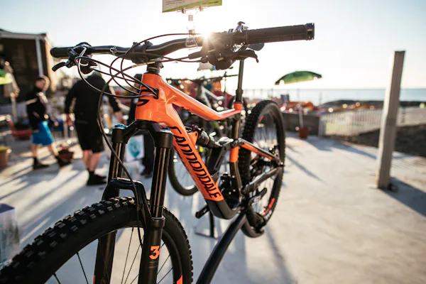Dorel Q1: Surge in bike sales boosts growth in sports division